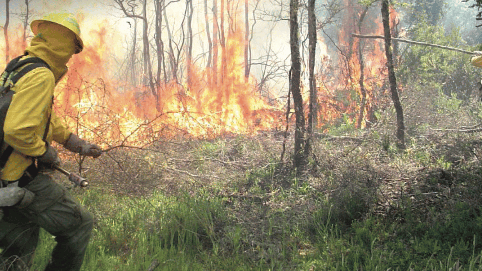 Estado de catástrofe: El 99% de los incendios que se producen en Chile ...