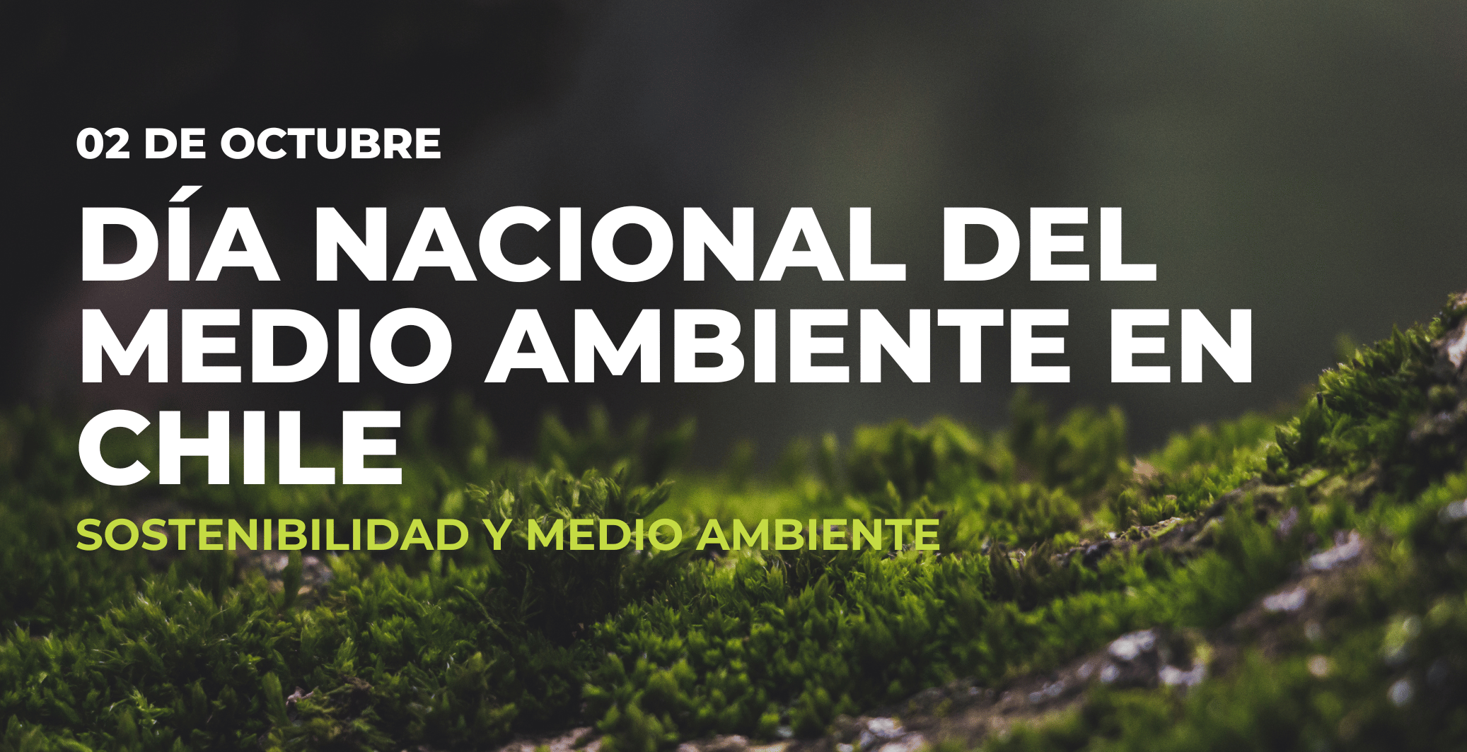¿Por qué se celebra el Día Nacional del Medio Ambiente en Chile?